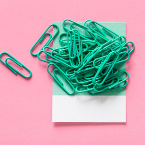 TASKI D7.1 SUMA INOX STAINILESS STEEL POLISH